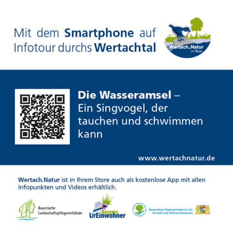 Wertach.Natur im Fluss: Wertach - Natur im Fluss